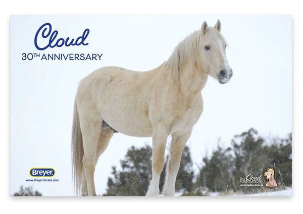 #B-TR-10306 1/9 Cloud, Wild Stallion of the Rockies 30th Anniversary E ...