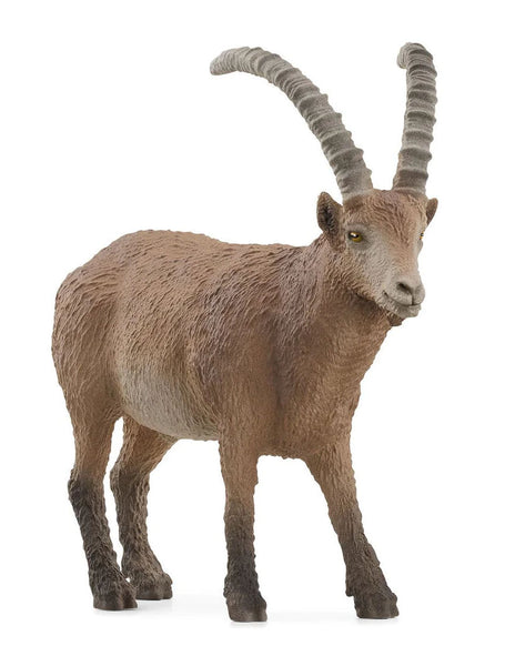 #14873S Ibex | Action Toys