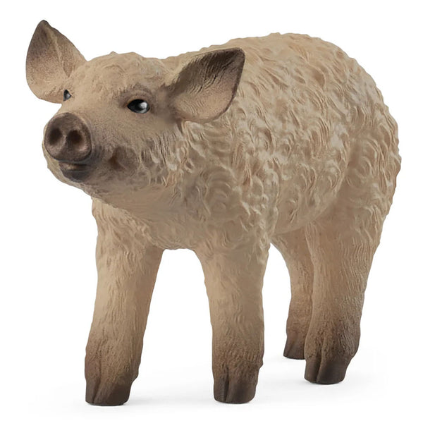 #14893S Mangalica Piglet | Action Toys