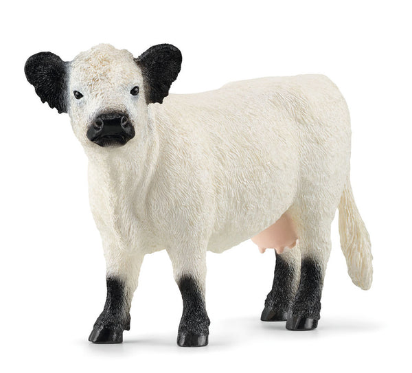 #13960S Galloway Cow | Action Toys